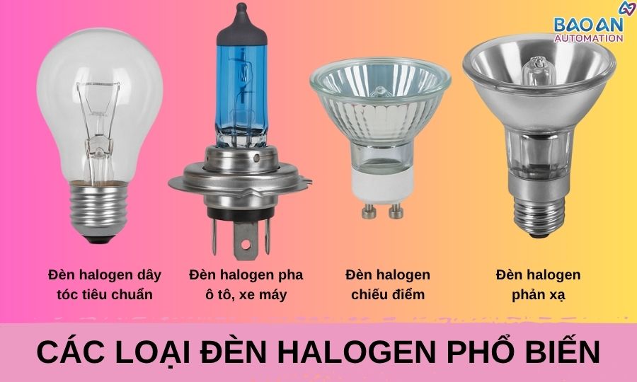 Các loại đèn halogen phổ biến nhất hiện nay và ứng dụng của chúng