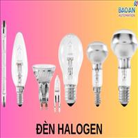Các loại đèn halogen phổ biến nhất hiện nay và ứng dụng của chúng